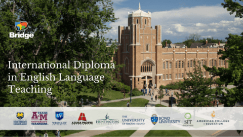 Home - BridgeUniverse - TEFL Blog, News, Tips & Resources
