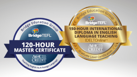 IDELTOnline vs. Master Certificate: Which Course Should I Take?