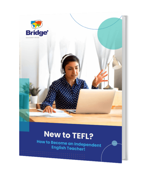 New to TEFL? How to Become an Independent English Teacher ...
