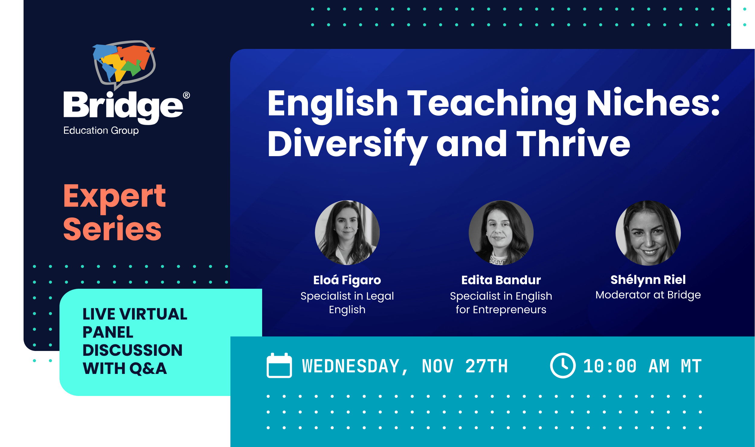 English Teaching Niches: Diversify and Thrive - Bridge Expert Series